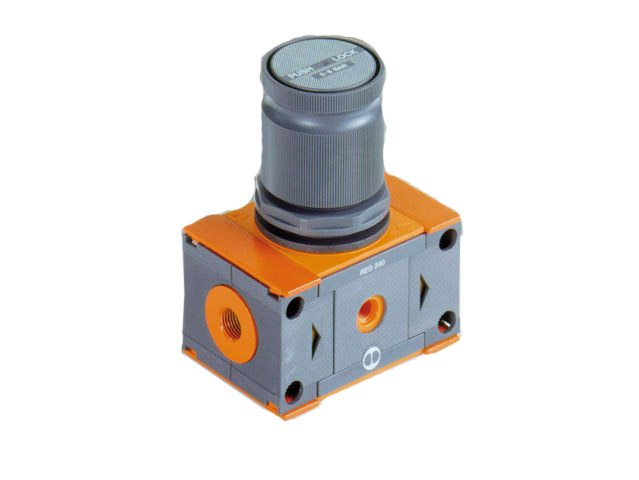 Metal Work 4602003 Regulator METAL WORK Serie REG 300 - G1" - 0 to 12 ...