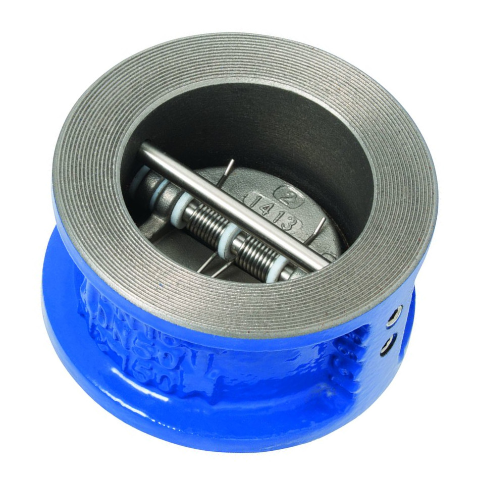 Genebre CHWX.005.300 Check valve - GG25 Cast Iron body - NBR - DN300 ...